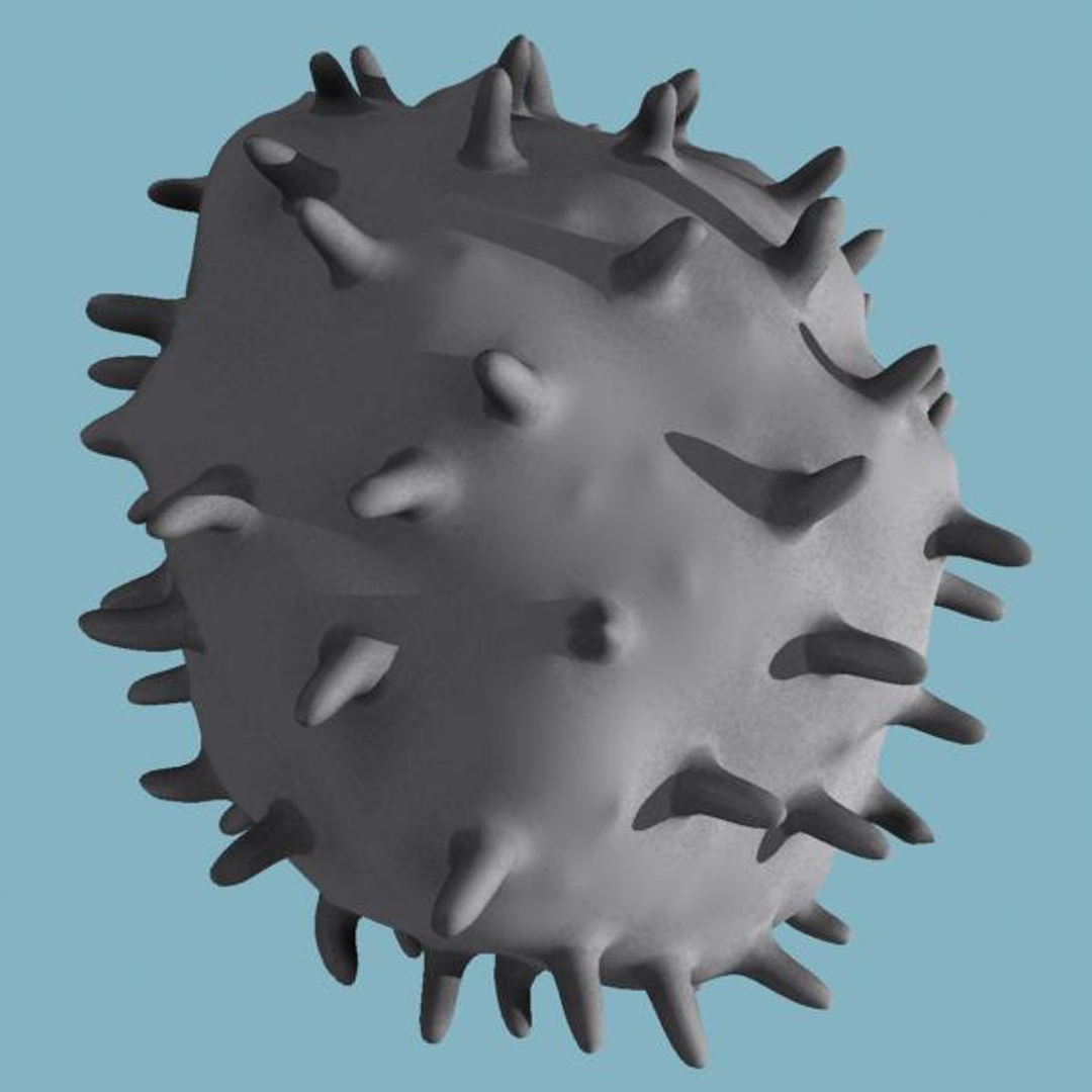 max arenavirus