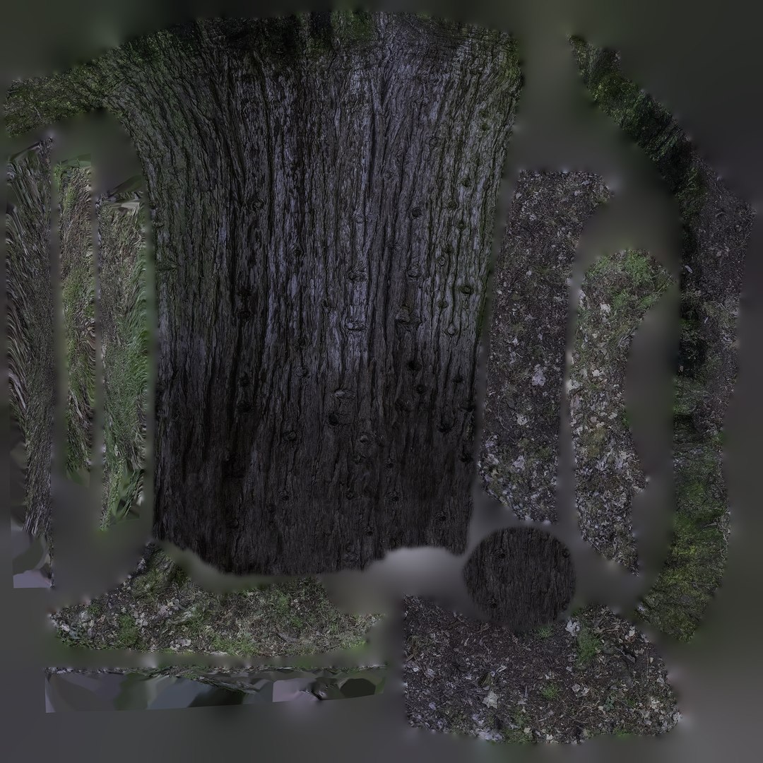 3D tree trunk - - TurboSquid 1442611