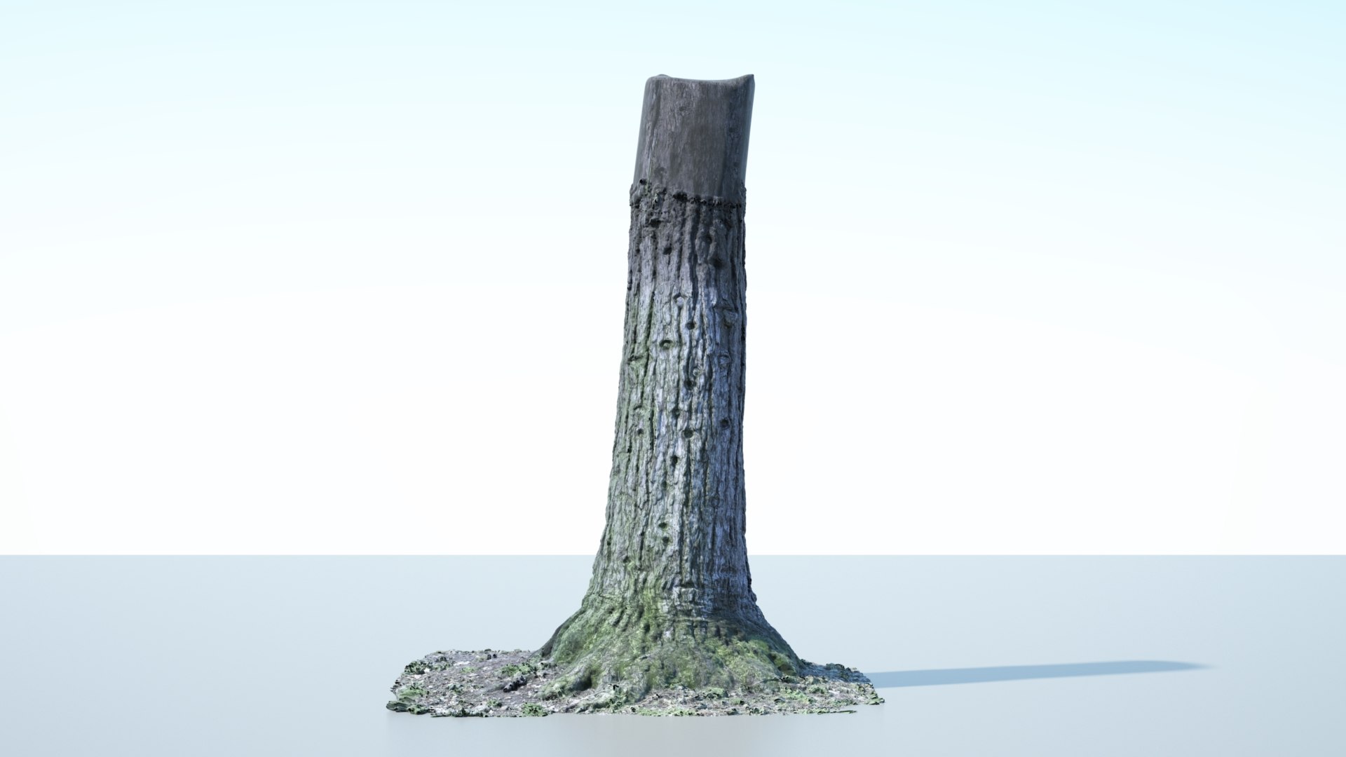 3D tree trunk - - TurboSquid 1442611