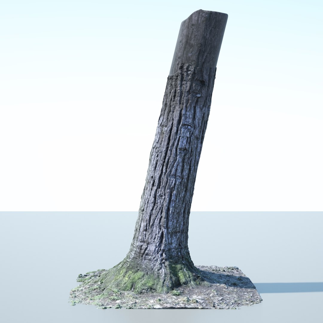 3D tree trunk - - TurboSquid 1442611