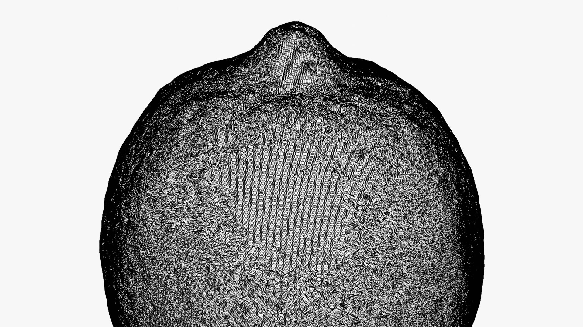 3D Model Lemon 02 For 3D Print - TurboSquid 2410413