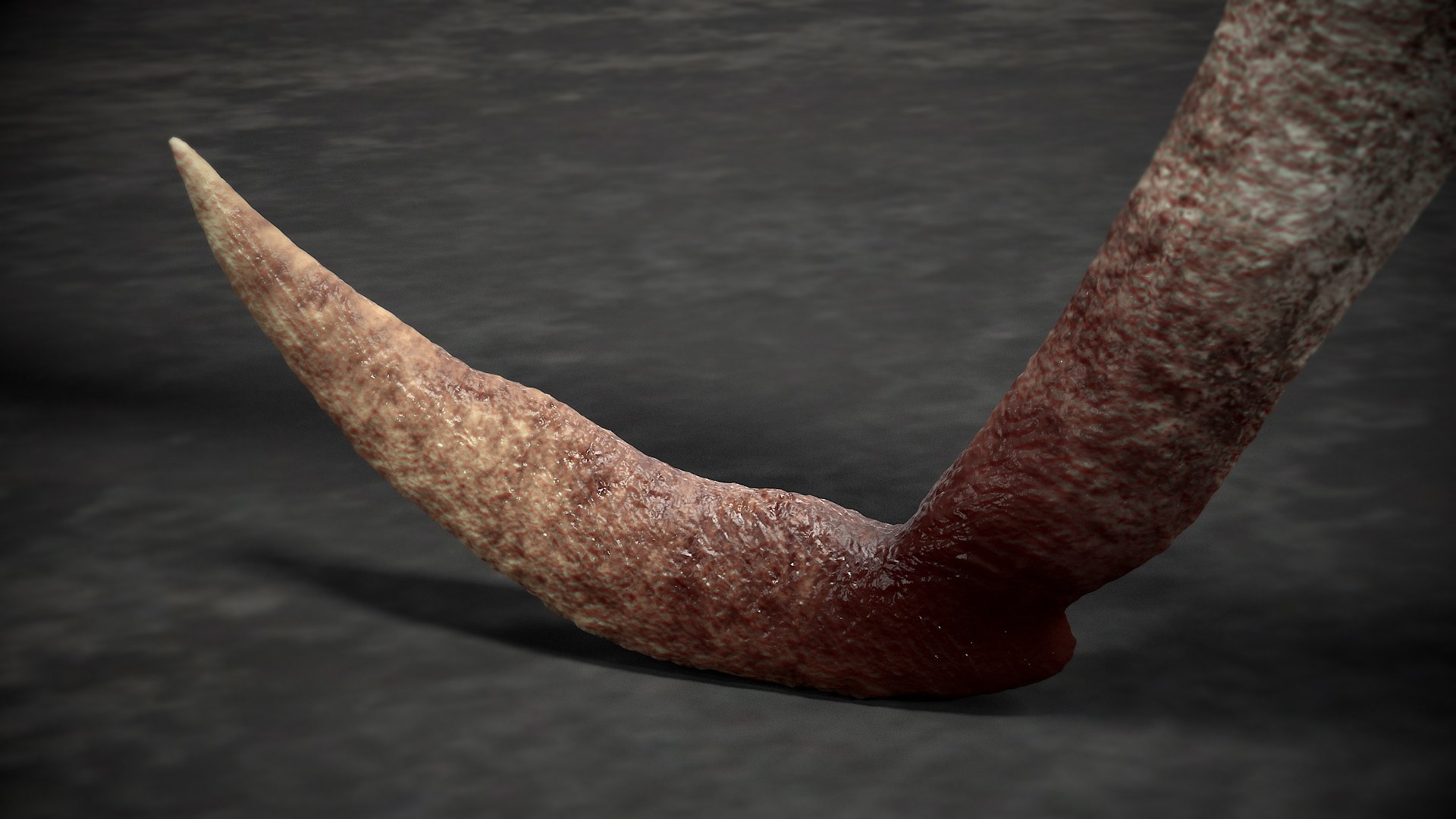 3D Fantasy Leech Monster Model - TurboSquid 2187776