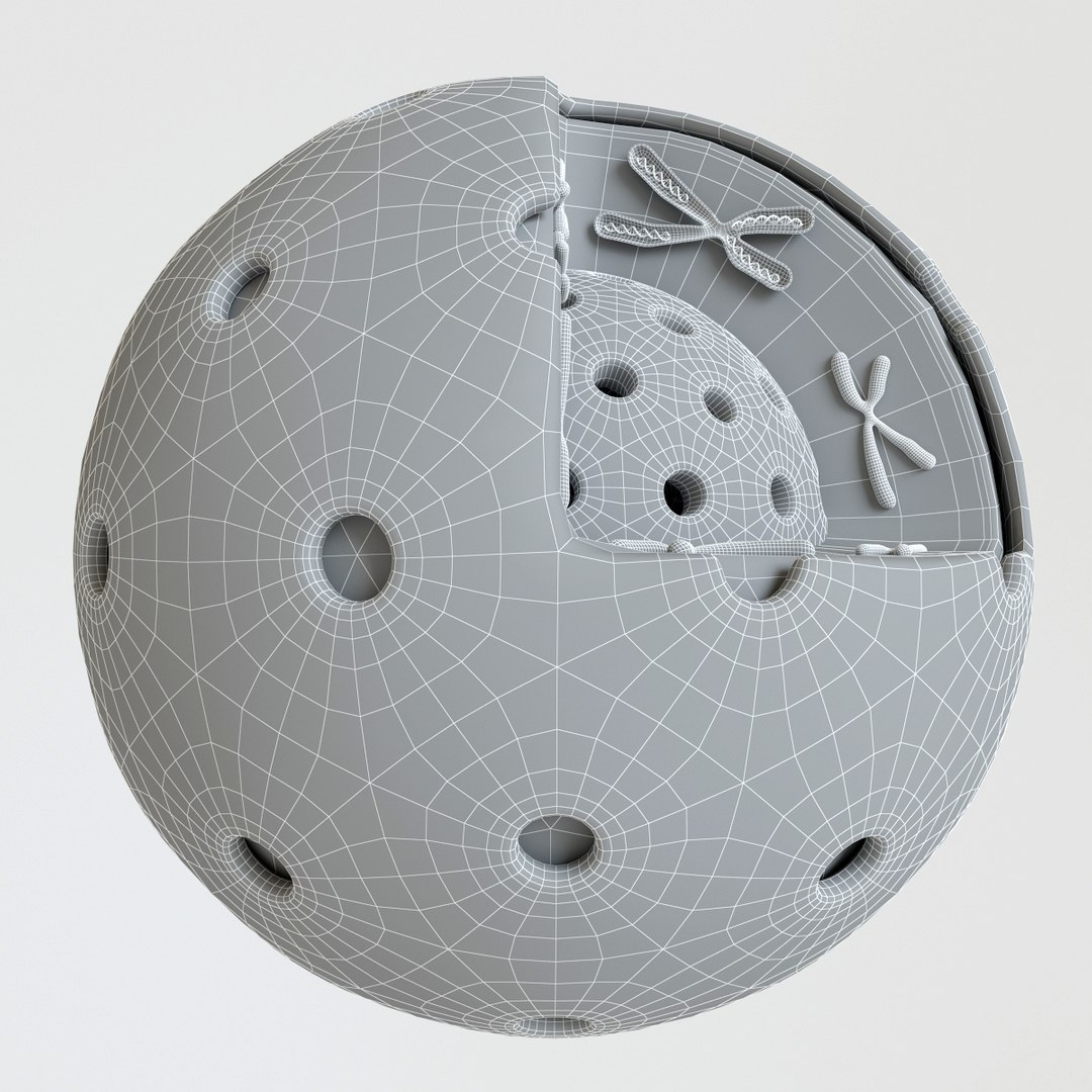 Cell 3d Model