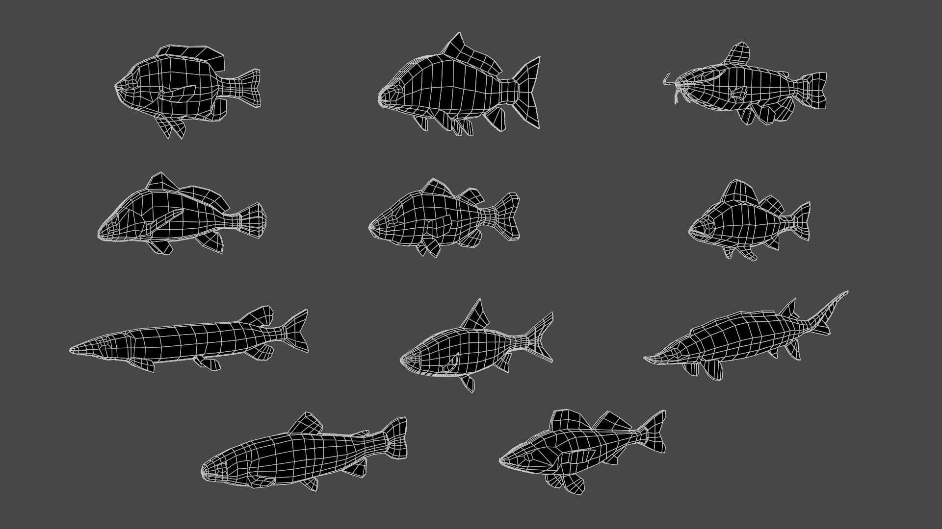 Fish Fresh Water 3D Model - TurboSquid 1676173