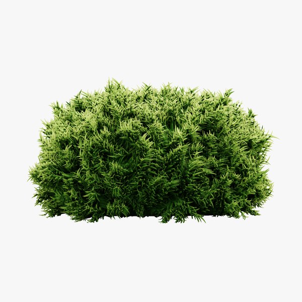 3D Moss Models | TurboSquid