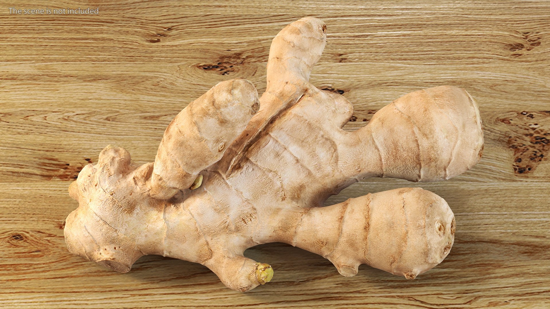 Raw Ginger Root 3D Model - TurboSquid 1854556