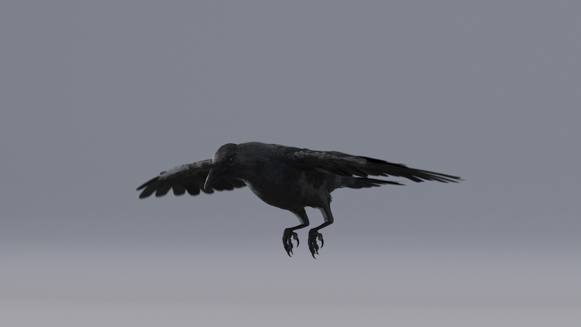 3D Crow Animations - TurboSquid 1437323