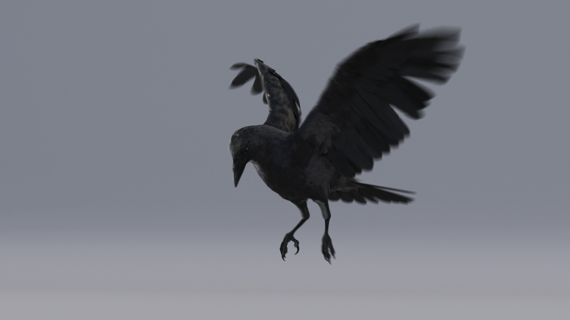 3D Crow Animations - TurboSquid 1437323