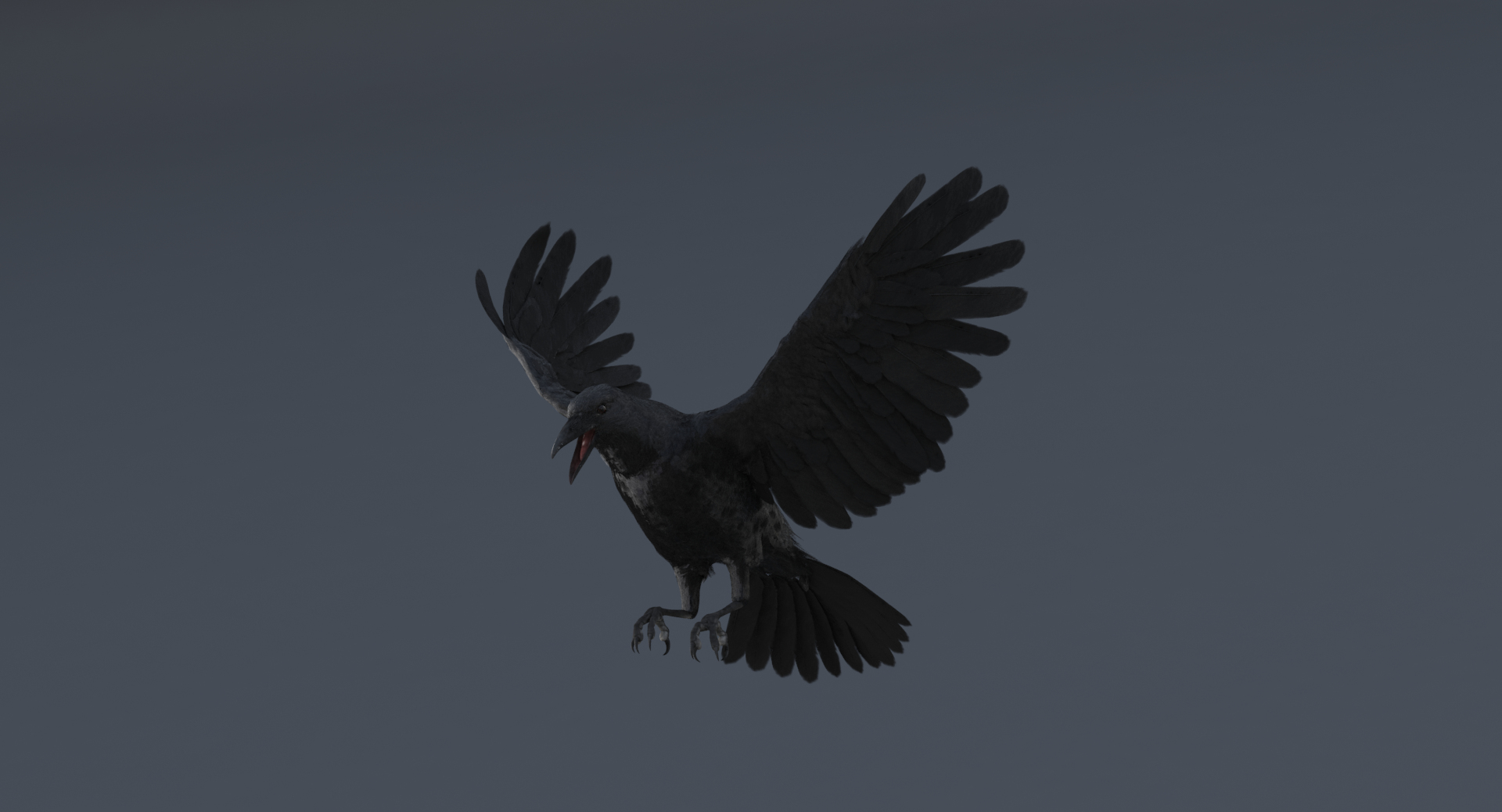3D crow animations - TurboSquid 1437323