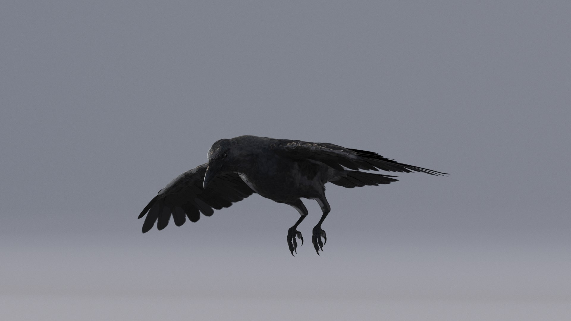 3D crow animations - TurboSquid 1437323