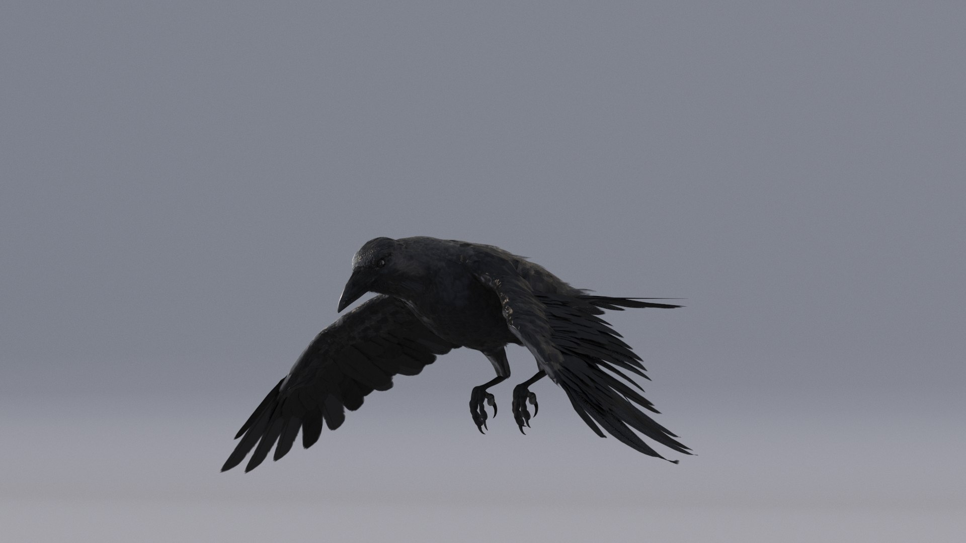 3D crow animations - TurboSquid 1437323