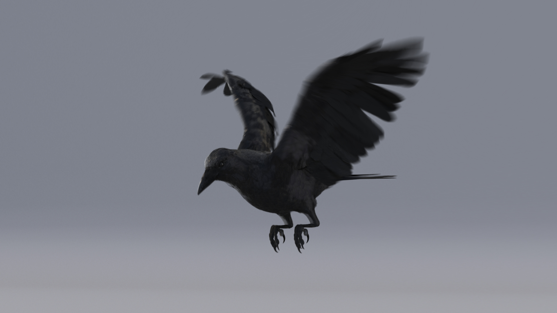 3D Crow Animations - TurboSquid 1437323