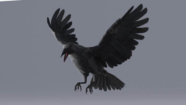 3D crow animations - TurboSquid 1437323