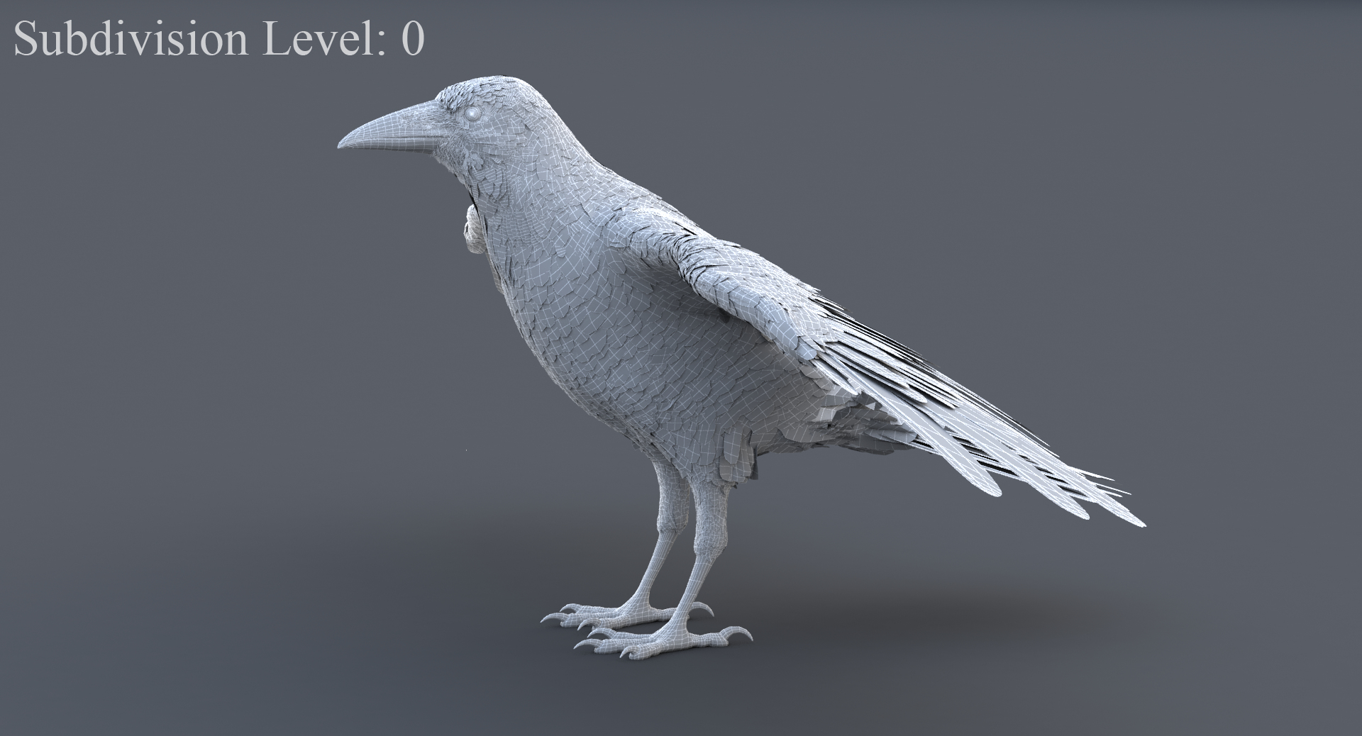 3D crow animations - TurboSquid 1437323