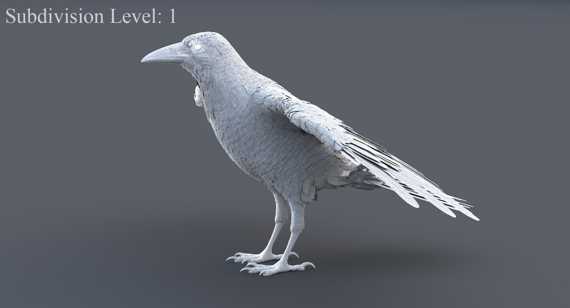 3D crow animations - TurboSquid 1437323