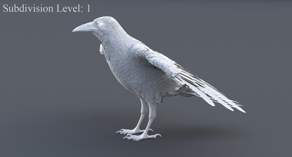 3D crow animations - TurboSquid 1437323