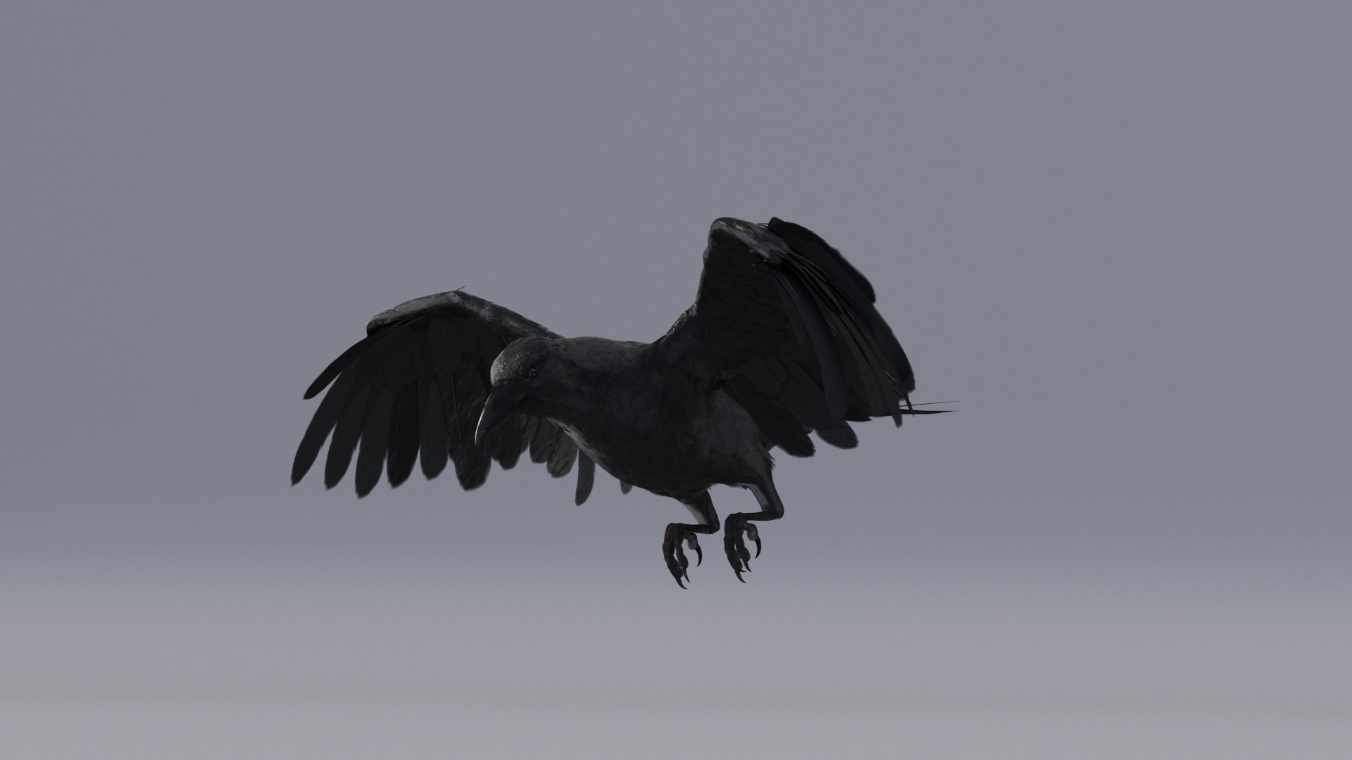 3D crow animations - TurboSquid 1437323