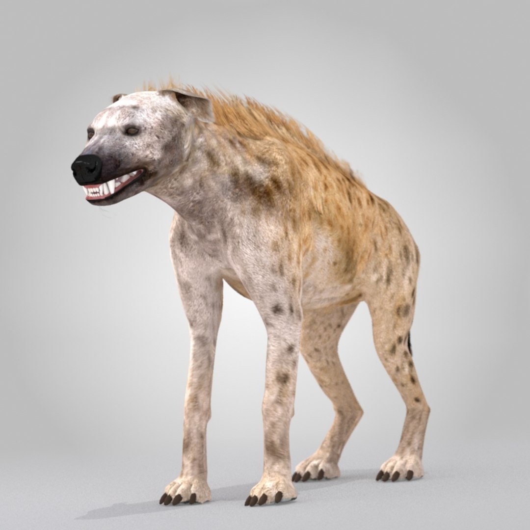 spotted hyena rig animation 3d max