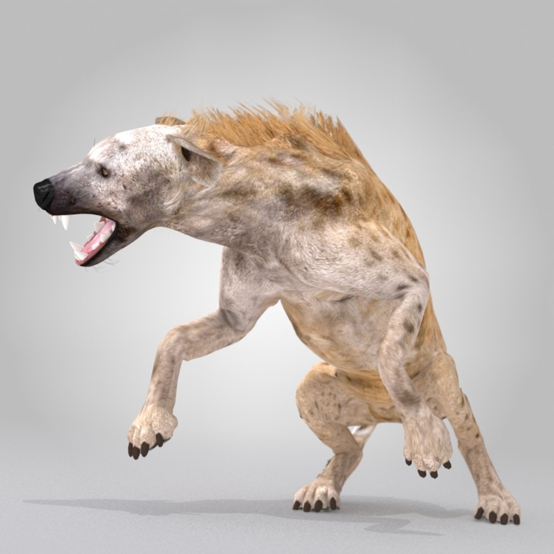 spotted hyena rig animation 3d max