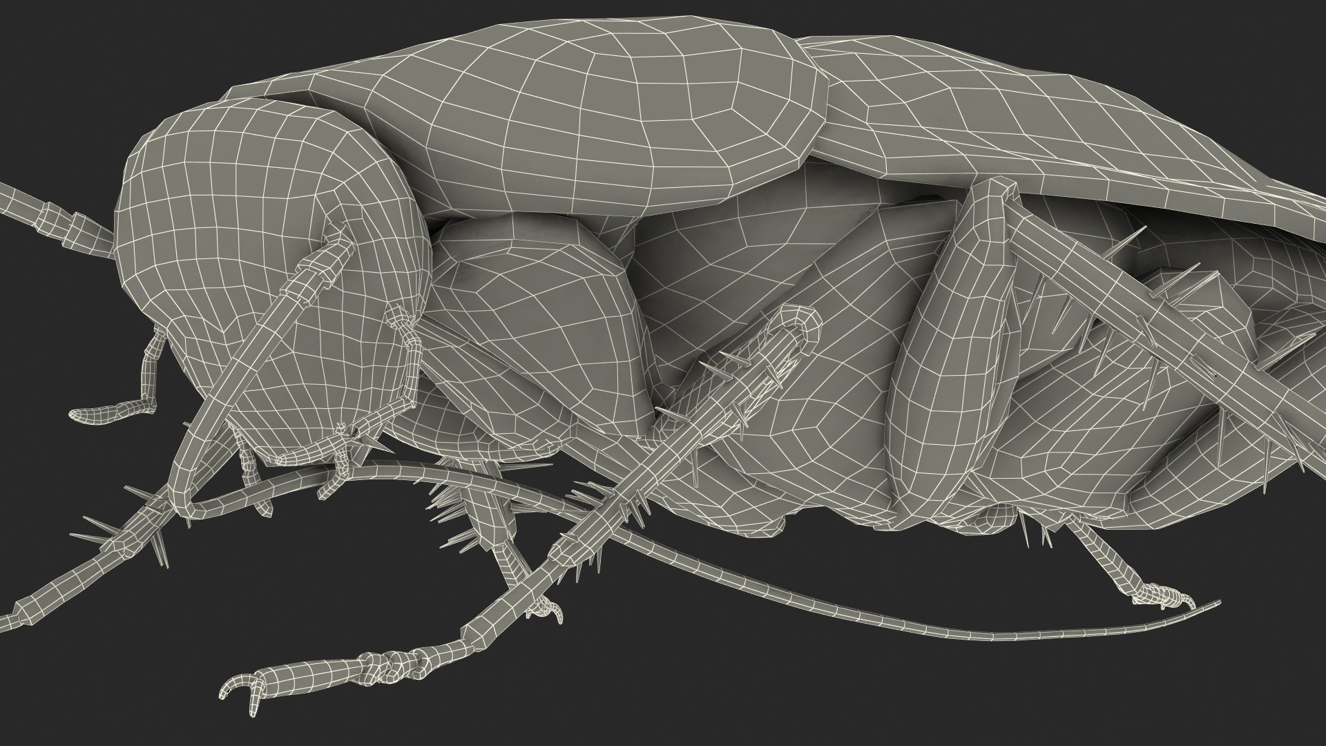Cockroach Cleans Mustache Bug 3D Model - TurboSquid 1487140