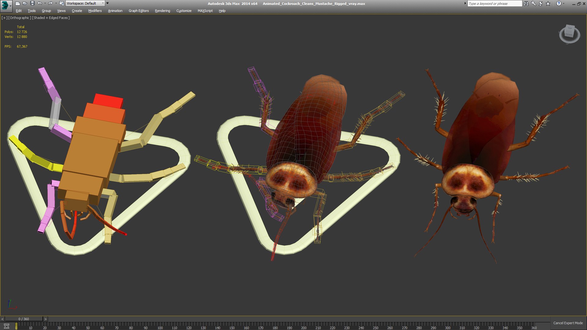 Cockroach Cleans Mustache Bug 3D Model - TurboSquid 1487140