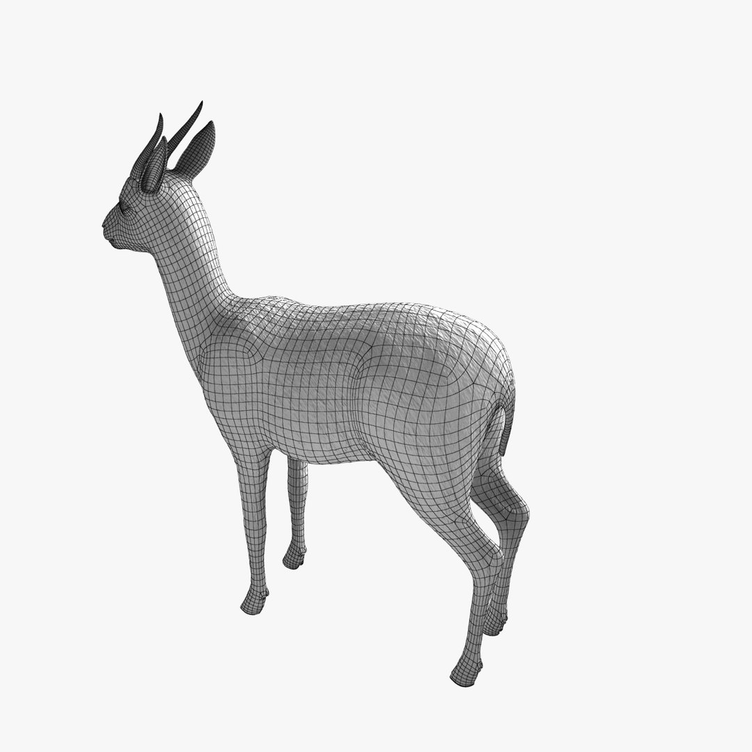 3d Model Fawn Gazelle