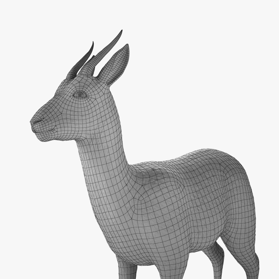 3d Model Fawn Gazelle