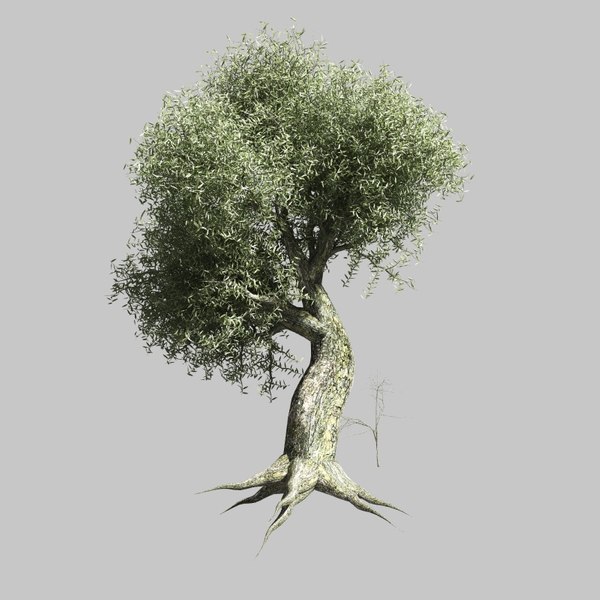 3ds olive tree