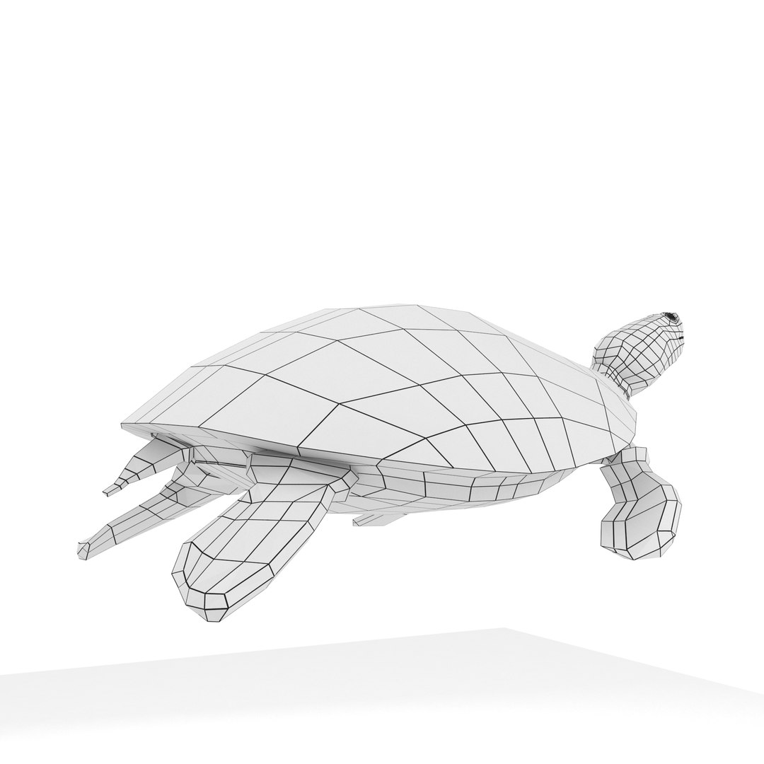 Sea Turtle 3D Model - TurboSquid 1337904