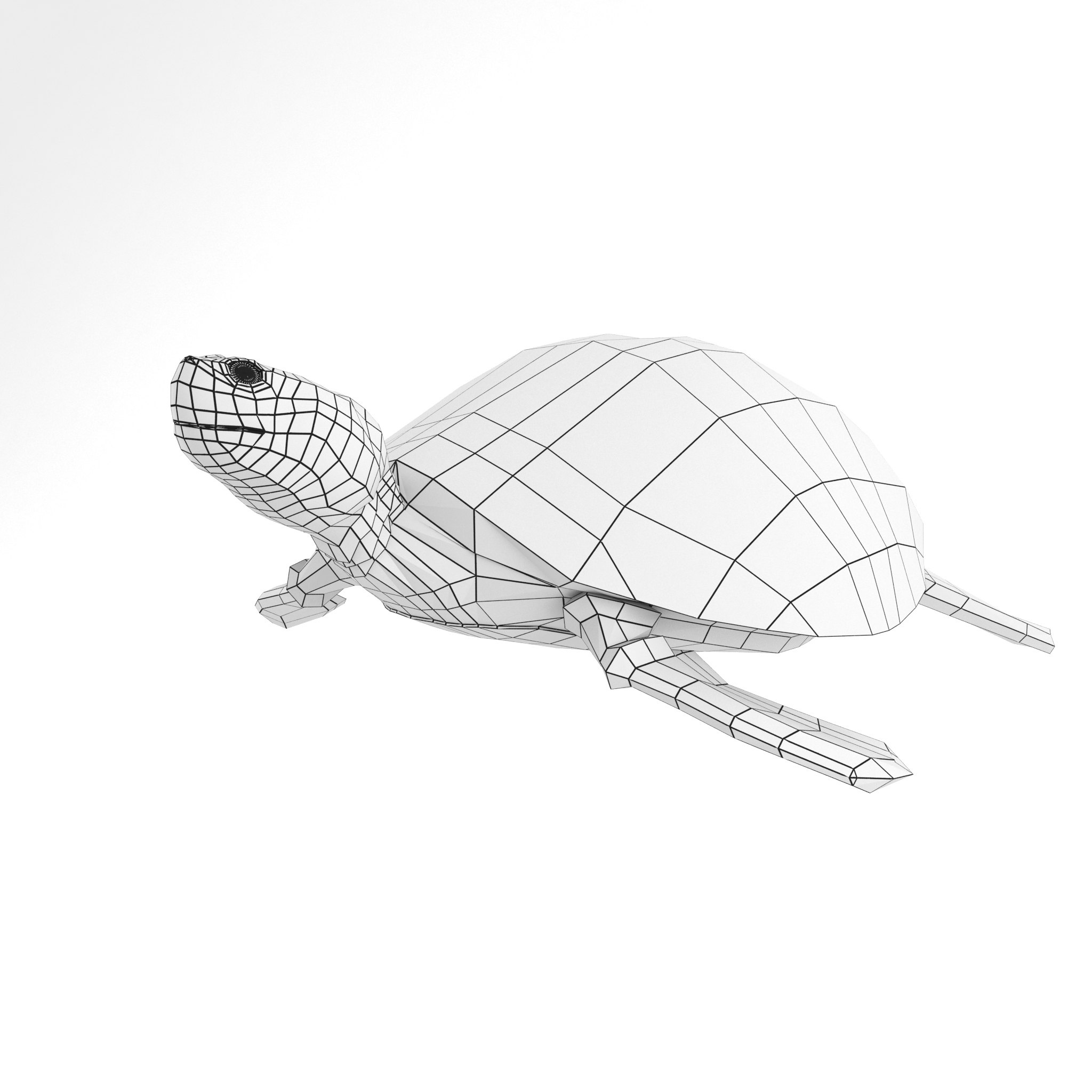 Sea turtle 3D model - TurboSquid 1337904