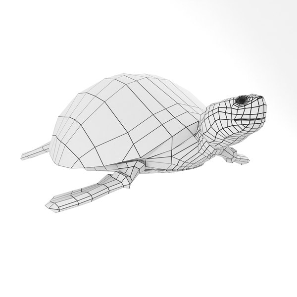 Sea turtle 3D model - TurboSquid 1337904