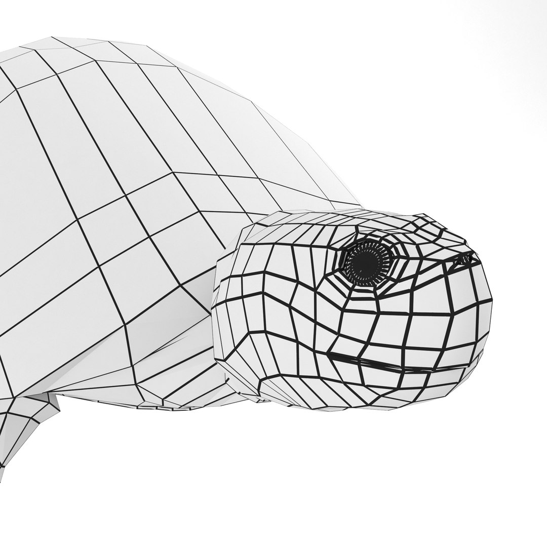 Sea Turtle 3D Model - TurboSquid 1337904
