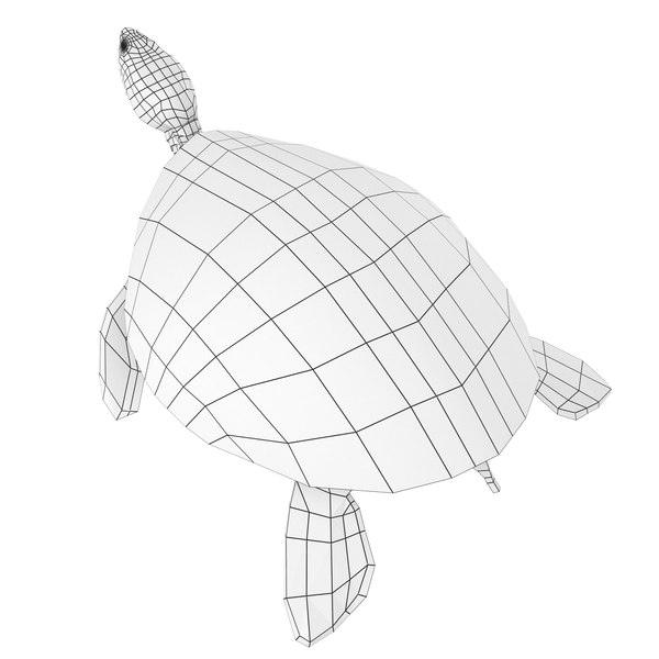 Sea turtle 3D model - TurboSquid 1337904