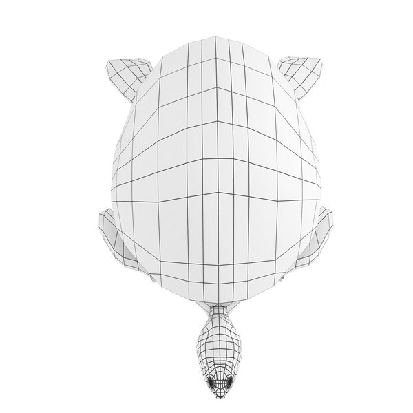 Sea turtle 3D model - TurboSquid 1337904