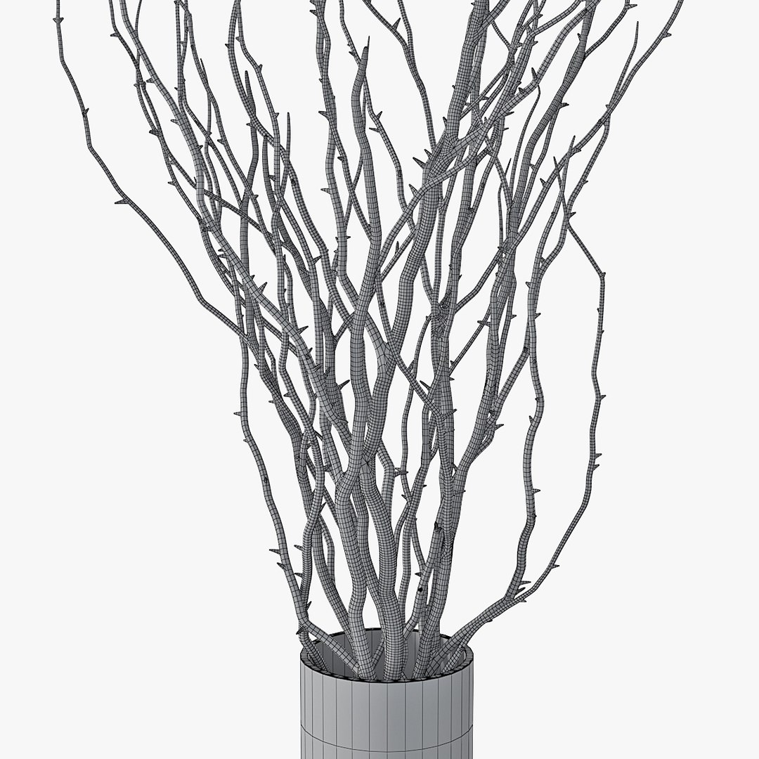3D Model Branches Vase - TurboSquid 1454202