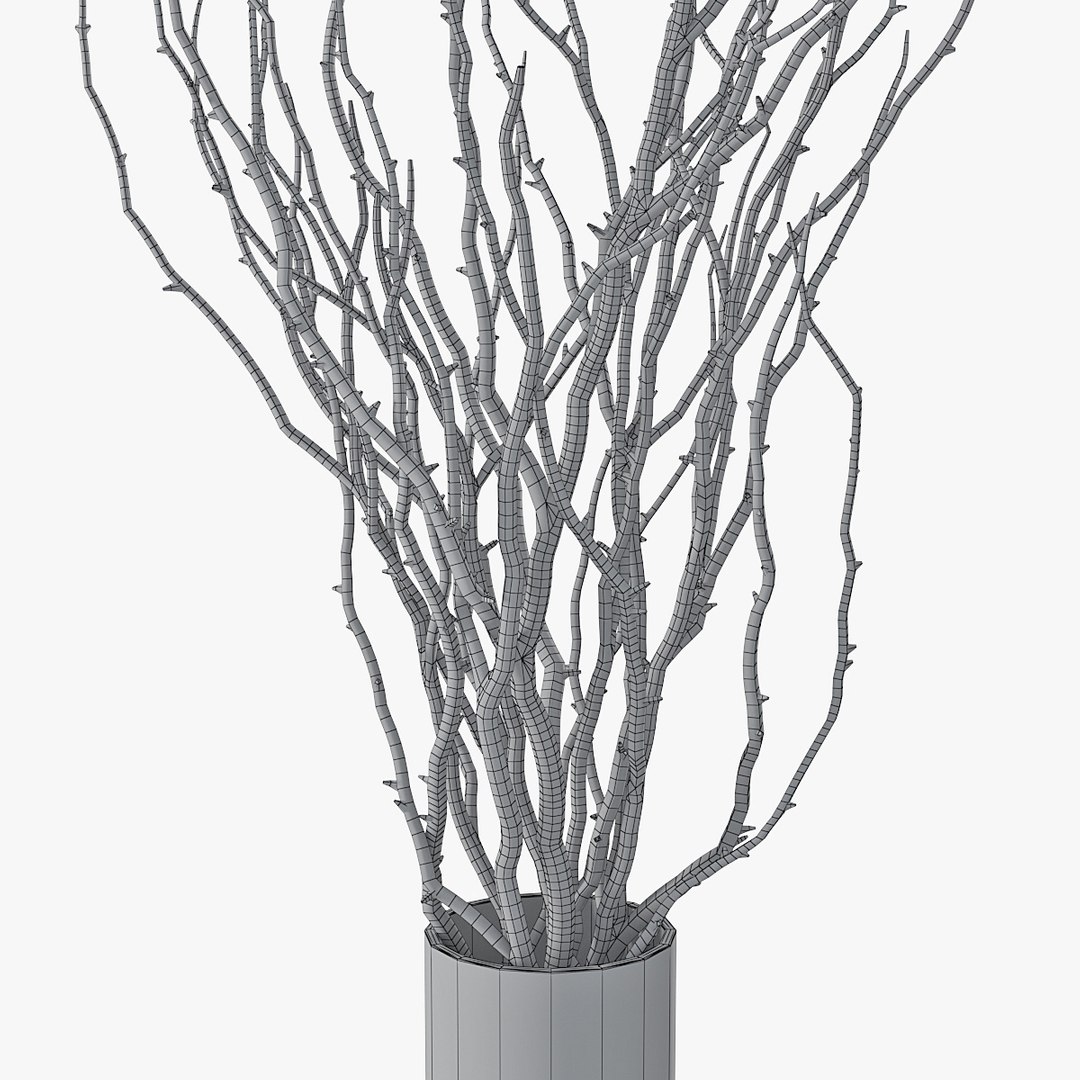 3D Model Branches Vase - TurboSquid 1454202