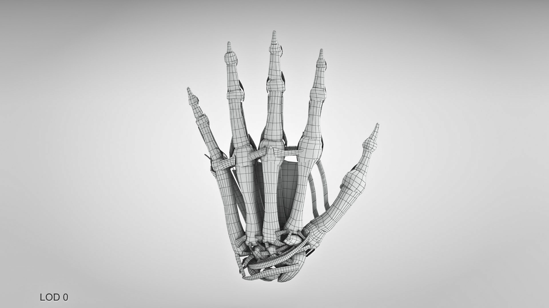 3D Hand Bones With Ligaments - TurboSquid 1924681