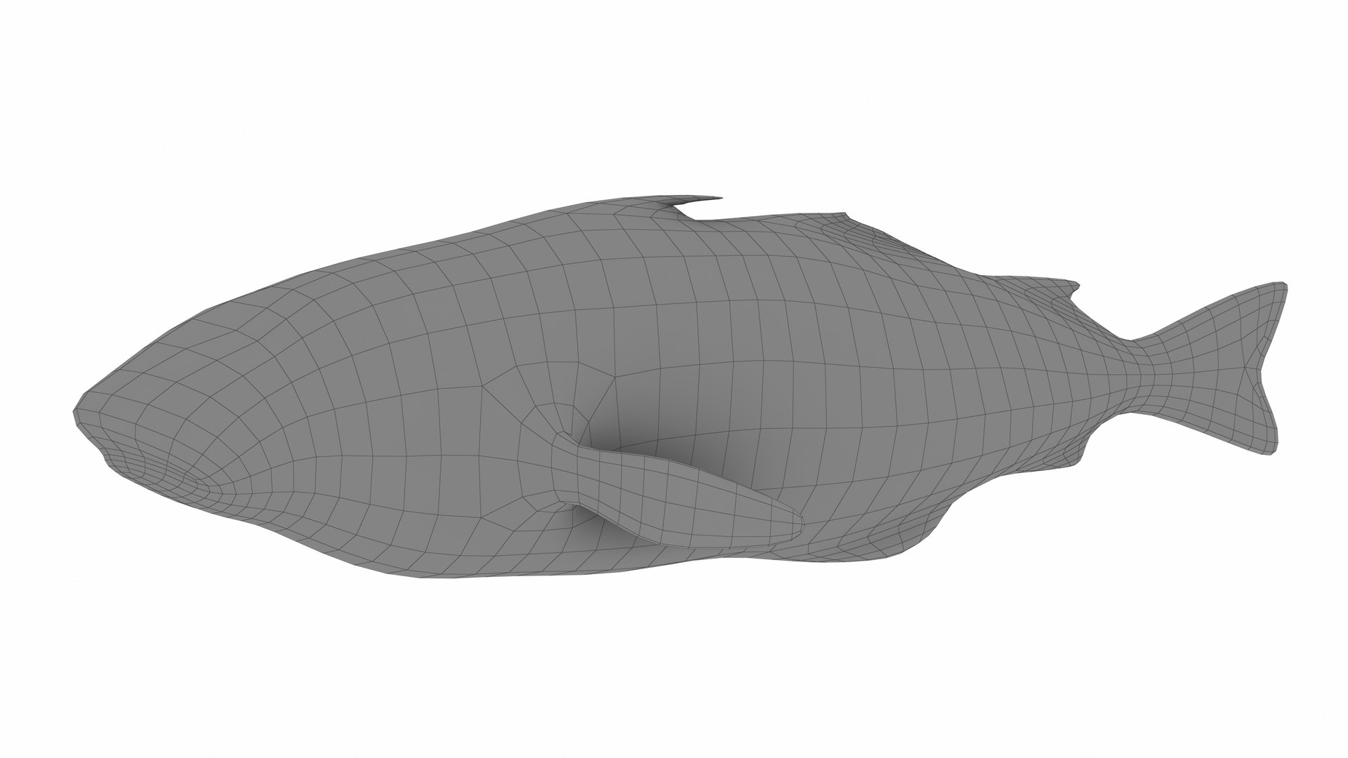 Haddock Fish 3D Model - TurboSquid 2380385