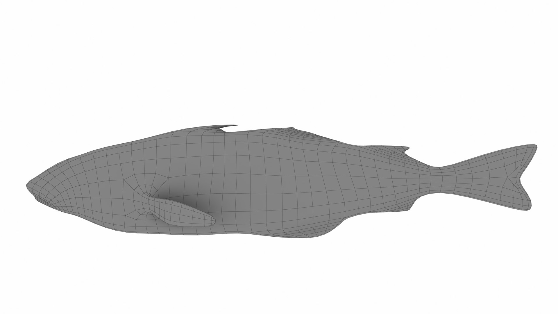 Haddock Fish 3D Model - TurboSquid 2380385