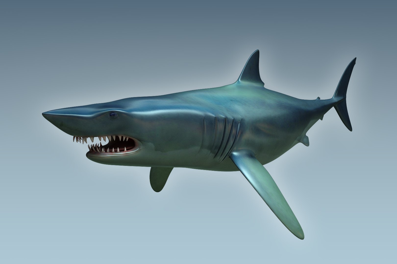 Shark Fish Sea Model - TurboSquid 1197792