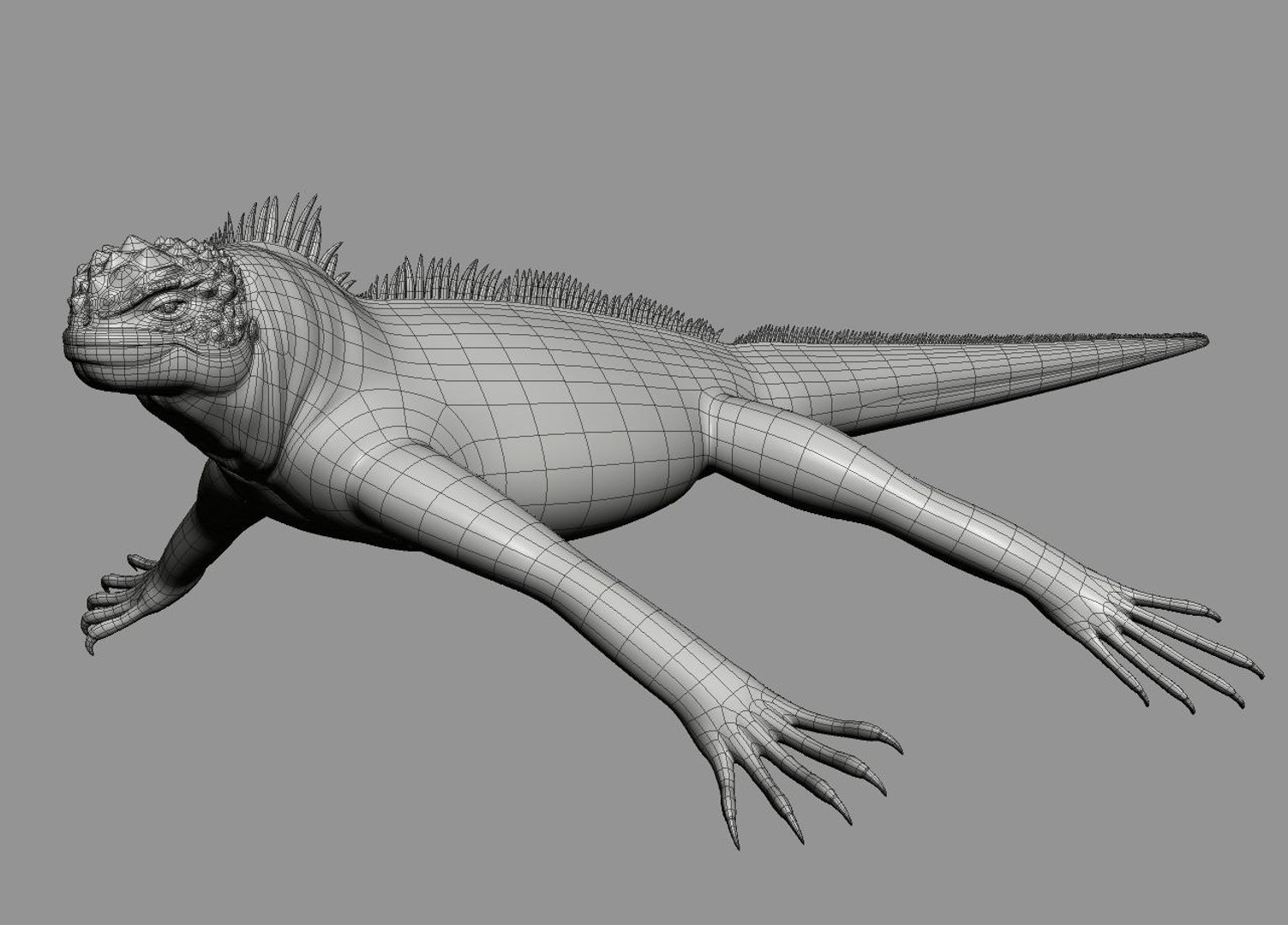 marine iguana 3d model