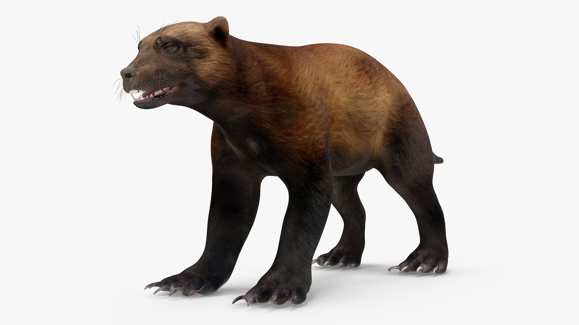 3D Wolverine Dark Color model - TurboSquid 2133306