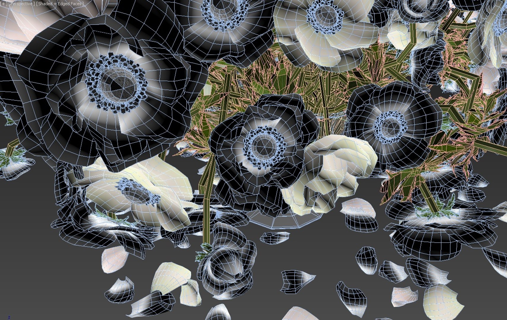 3D Anemone Model - TurboSquid 1252725
