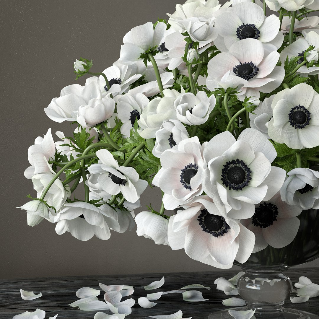 3D Anemone Model - TurboSquid 1252725