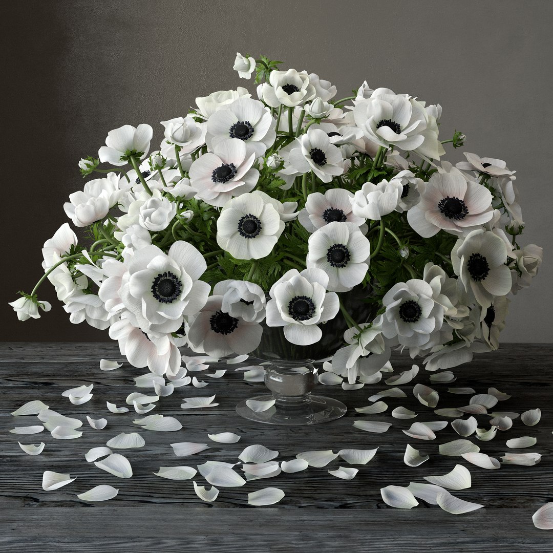 3D Anemone Model - TurboSquid 1252725