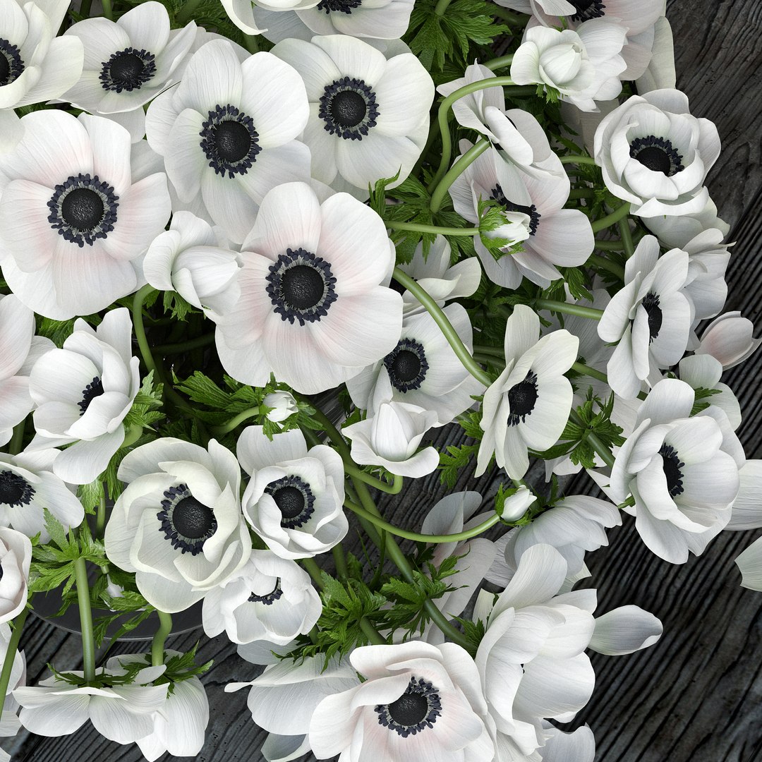 3D Anemone Model - TurboSquid 1252725