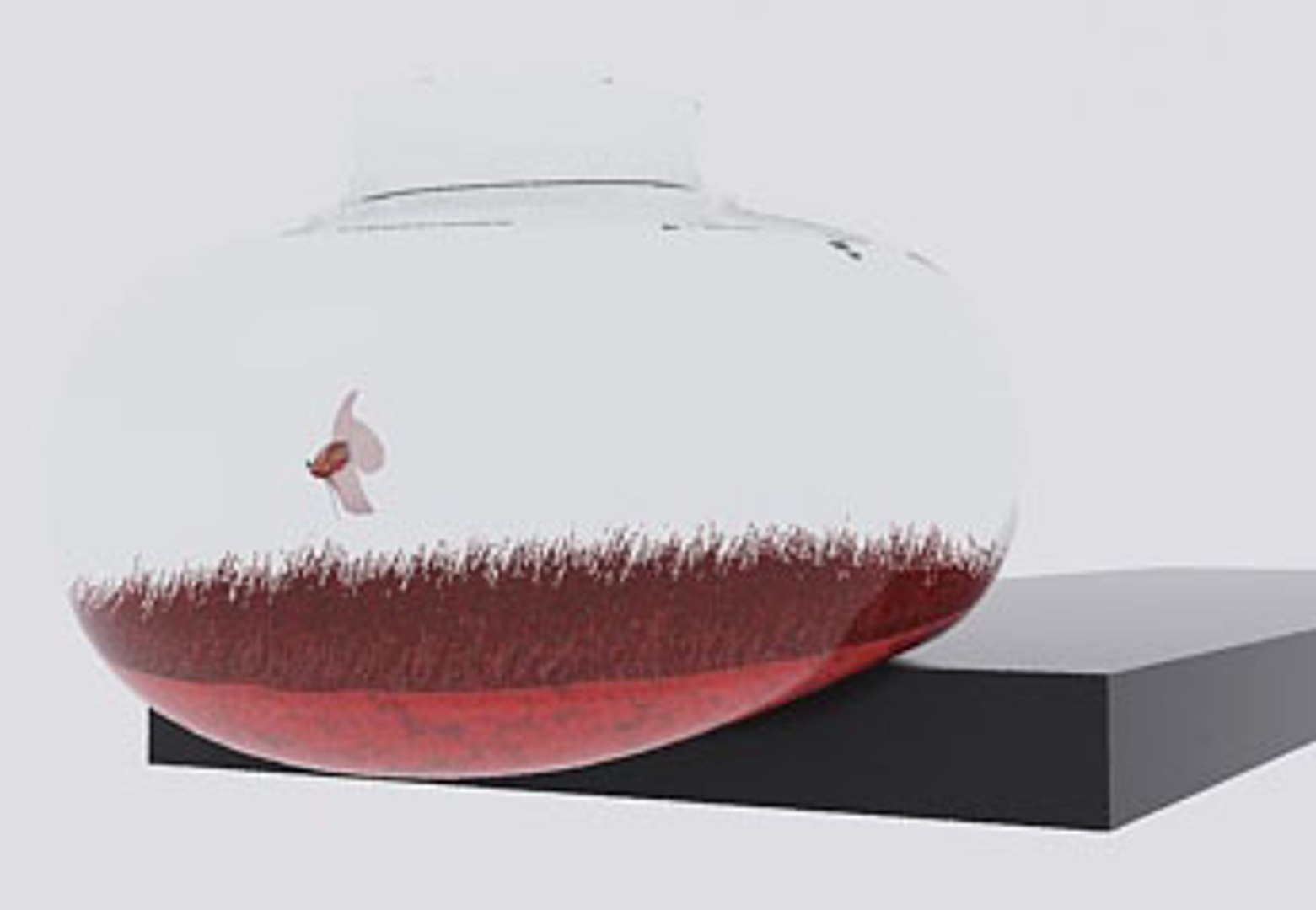 3d fishbowl model