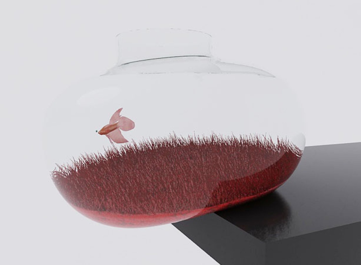 3d fishbowl model