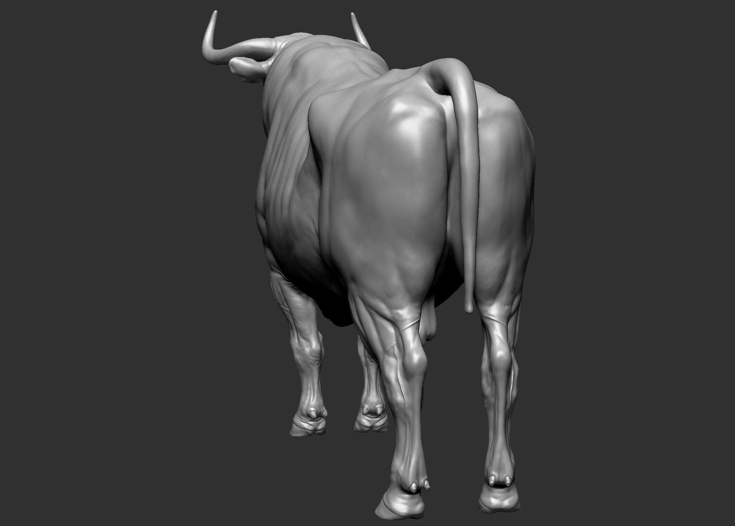 Toro bull 3D model - TurboSquid 1394459