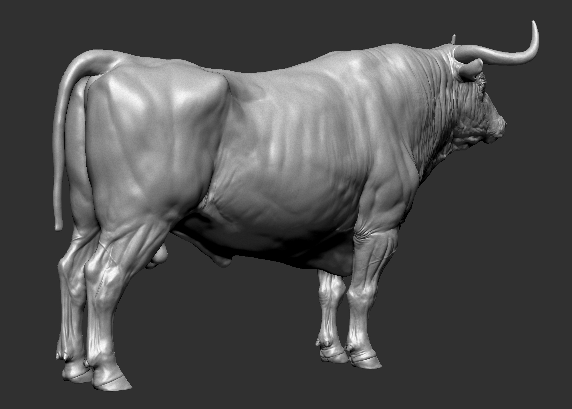Toro bull 3D model - TurboSquid 1394459